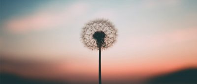 what is the meaning of equanimity? how to define and achieve it. - YOGI ...