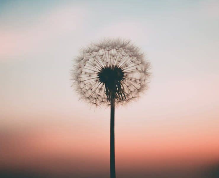 namaste meaning - namaskar definition - YOGI TIMES