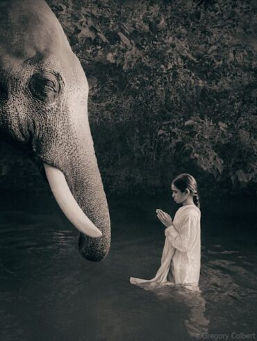 Gregory Colbert’s Ashes and Snow: A mesmerizing exhibit of harmony ...