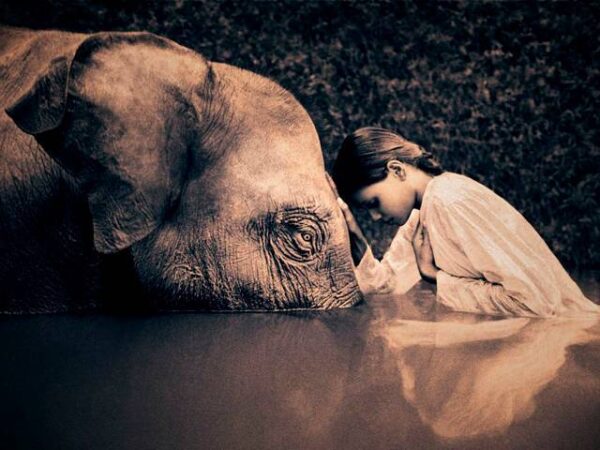 Gregory Colbert’s Ashes and Snow: A mesmerizing exhibit of harmony ...
