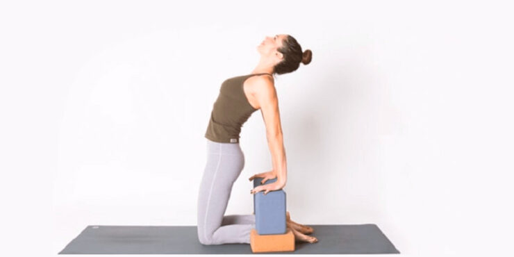Yoga Stretches with Blocks and Bolsters: Beginner and Advanced ...