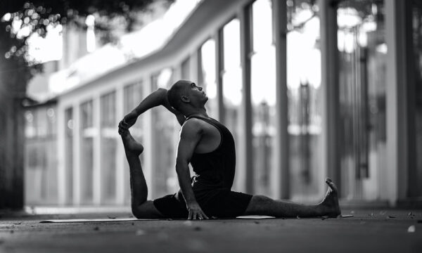 Yogui o Yogi, significado | YOGI TIMES